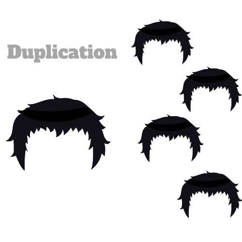 Hair System Duplication